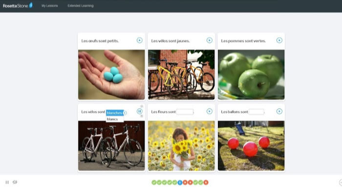 Learning a Second Language with Rosetta Stone for Homeschool